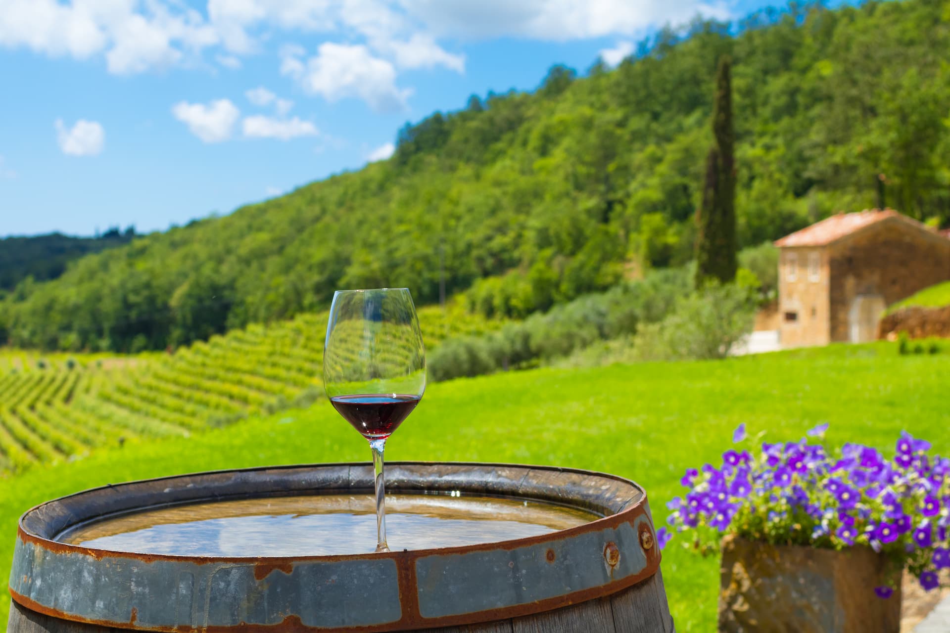 Things to do - Travel Istria